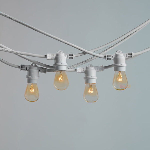 20m White Festoon String Lights with 20 Bulb 240V – Cosmo Lighting